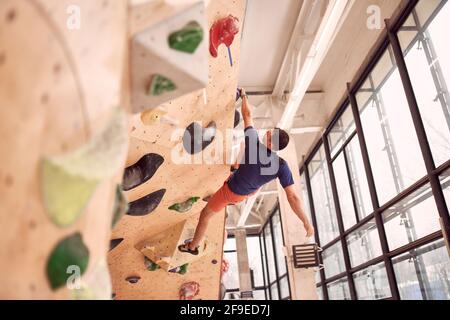 Low angle of muscular male alpinist hanging on climbing wall while ...