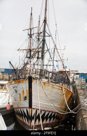 Phoenix tall ship moored in Penzance, Cornwall,UK Stock Photo - Alamy