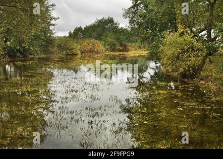 Landscape near Kosava. Belarus Stock Photo - Alamy