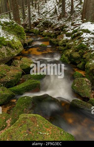 Hucina creek with stones in spring snowy cold day in Sumava national ...