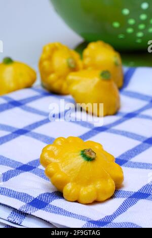 Patisson, mini patissons, on tea towel (Cucurbita pepo) , pumpkin ...