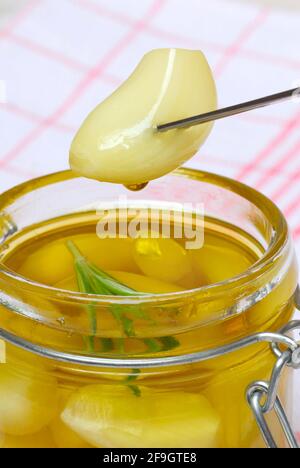 Garlictoes (Allium sativum) in olive oil, with rosemary Stock Photo - Alamy