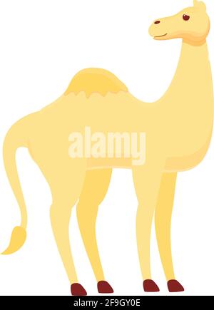 Cartoon Tuareg man with Camel Stock Vector Image & Art - Alamy