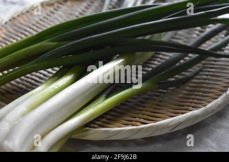 Kujo Green Onion, Vegetable produced in Kyoto, Japan Stock Photo - Alamy