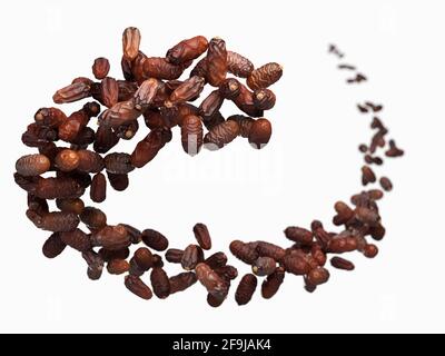 date palm fruits, 3d illustration, suitable for fasting, ramadan, islam ...