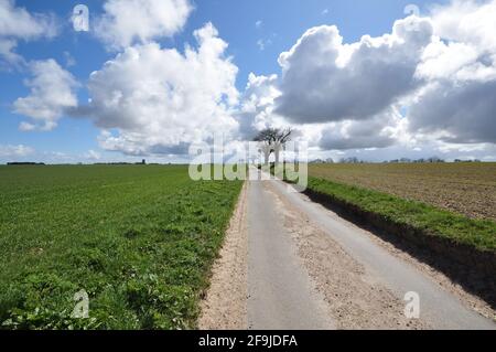Lane leading south-east towards Southrepps, north Norfolk, England UK ...