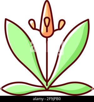 English plantain icon Stock Vector Image & Art - Alamy