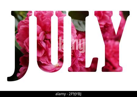 Nature ABC, letters made from shapes in nature, portrait format Stock ...