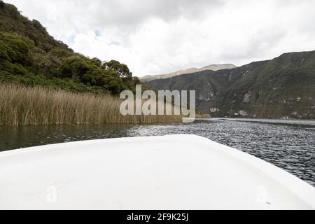 A beautiful view of a forest with various types of trees and plants ...