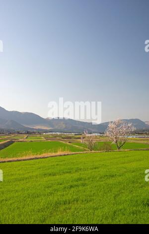 Minamiaso, Kumamoto Prefecture, Japan in Early Spring Stock Photo - Alamy