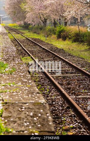 Choyo Station in Spring, Kumamoto Prefecture, Japan Stock Photo - Alamy