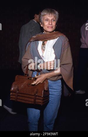 Cloris Leachman Circa 1980's Credit: Ralph Dominguez/MediaPunch Stock ...