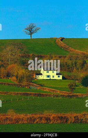 Axe Valley in Devon on the misty morning Stock Photo - Alamy