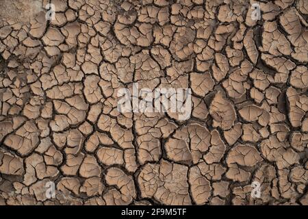 Dry, cracked light brown soil, partly peeling off the ground in lumps ...