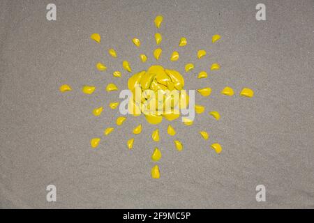 Sun made of yellow seashells with spatula - centered Stock Photo - Alamy