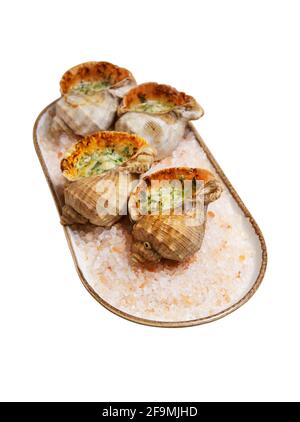Rapana in shells cooked with ghee. Sea food on a plate Stock Photo - Alamy