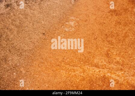 Red brown Earth colored by bacteria in Yellowstone Park Stock Photo - Alamy