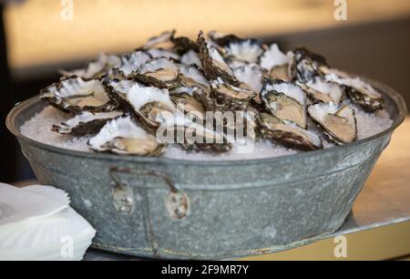 Bucket of oysters Stock Photo - Alamy