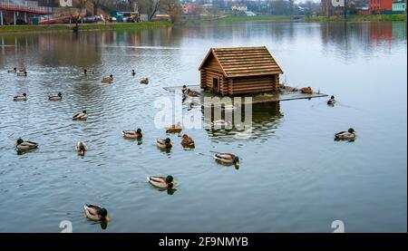 Floating duck house on the lake of a landscaped English Garden in ...