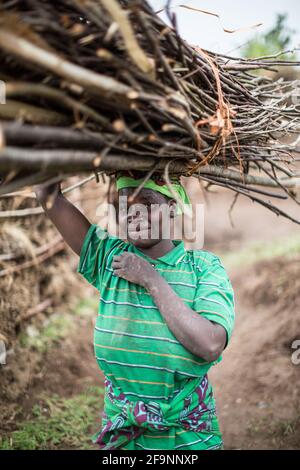 Traditional Pygmy Village, Kibira National Park, Burundi, Africa Stock ...