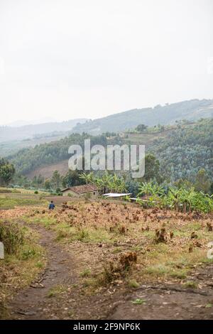 Traditional Pygmy Village, Kibira National Park, Burundi, Africa Stock ...