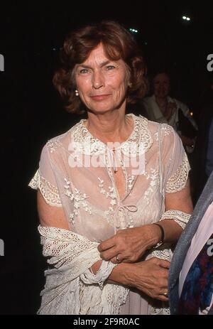 Priscilla Pointer Circa 1980's Credit: Ralph Dominguez/MediaPunch Stock ...