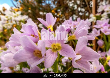 Bolney, April 15th 2021: Countryside around the village of Bolney in ...