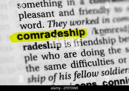 Highlighted word companion concept and meaning Stock Photo - Alamy