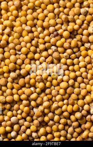 Organic yellow mustard seeds in wooden bowls - Sinapis alba Stock Photo ...