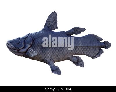 Mawsonia was a extinct coelacanth lobe-finned fish that prowled the ...