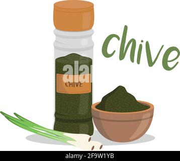 Vector chive illustration isolated in cartoon style. Herbs and Species ...
