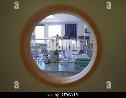 Hamburg, Germany. 20th Apr, 2021. View of an Aesculabor laboratory. At ...