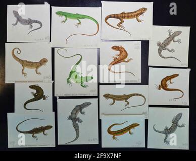 210421 -- CHENGDU, April 21, 2021 -- Photo taken on April 14, 2021 ...