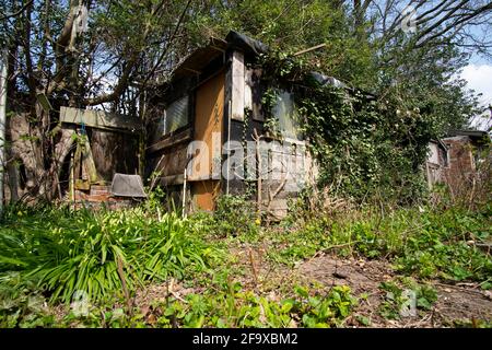 Old shabby garden shed example Stock Photo - Alamy