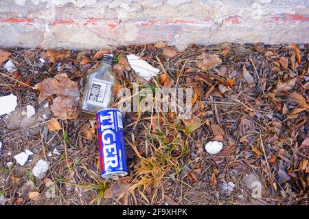 POZNAN, POLAND - Feb 18, 2016: Bunch of tulips and chocolate in box ...