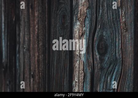 Selective focus of wood knot Stock Photo - Alamy