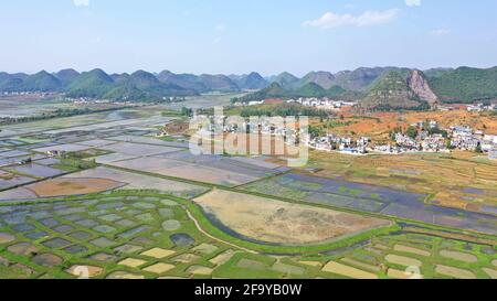 ANLONG, CHINA - APRIL 21, 2021 - Aerial view of lotus root field in ...