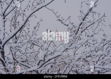 Branch under snow cover. Snowy texture background. Abstract winter ...