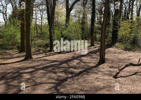 The site of Hobs Moat, Olton, West Midlands, England, UK Stock Photo ...