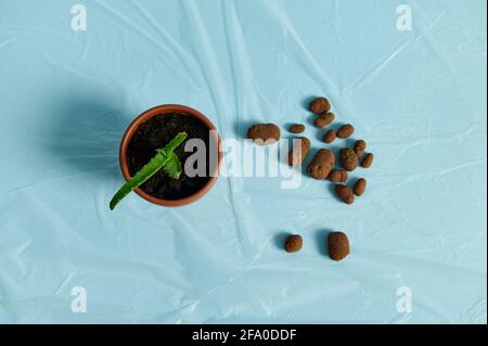 Scattered expanded clay, drainage for plants on a transparent film on a ...