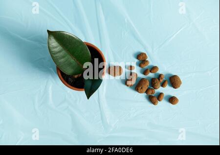 Scattered expanded clay, drainage for plants on a transparent film on a ...