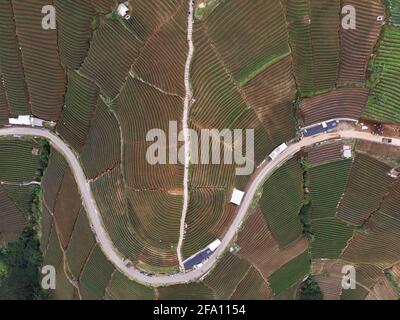 Aerial view of World heritage Panyaweuyan rice terraces in Majalengka ...