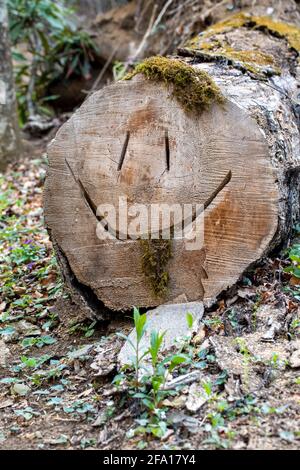 Smiley Face Carved in Wood Stock Photo - Alamy