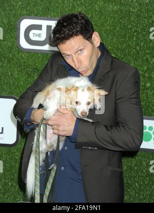 Mark Feuerstein on the green carpet during the 2016 World Dog Awards ...