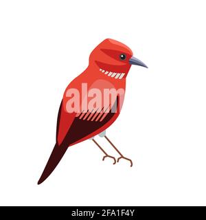Red bird Apapane Hawaiian Honeycreeper. Exotic Rare bird of the ...