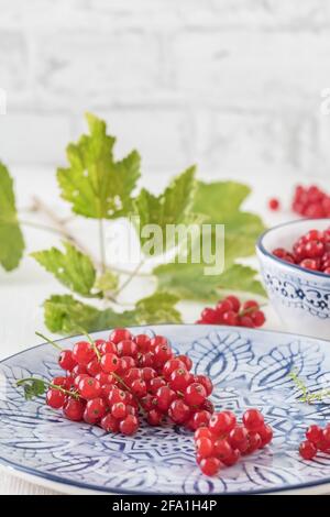 Red currants in a blue bowl, fresh fruits, berries Stock Photo - Alamy