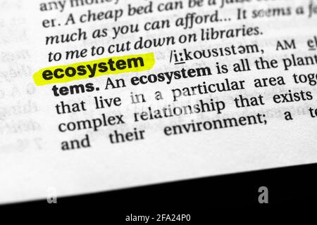 Highlighted word environment concept and meaning Stock Photo - Alamy