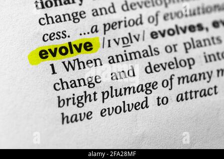 Highlighted word evolve concept and meaning Stock Photo - Alamy