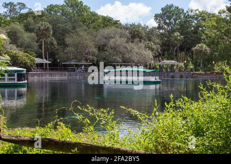Historic glass bottom boat at Silver Springs State Park, Florida Stock ...