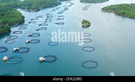 Aerial view of fish ponds for bangus, milkfish. Fish farm, top view ...